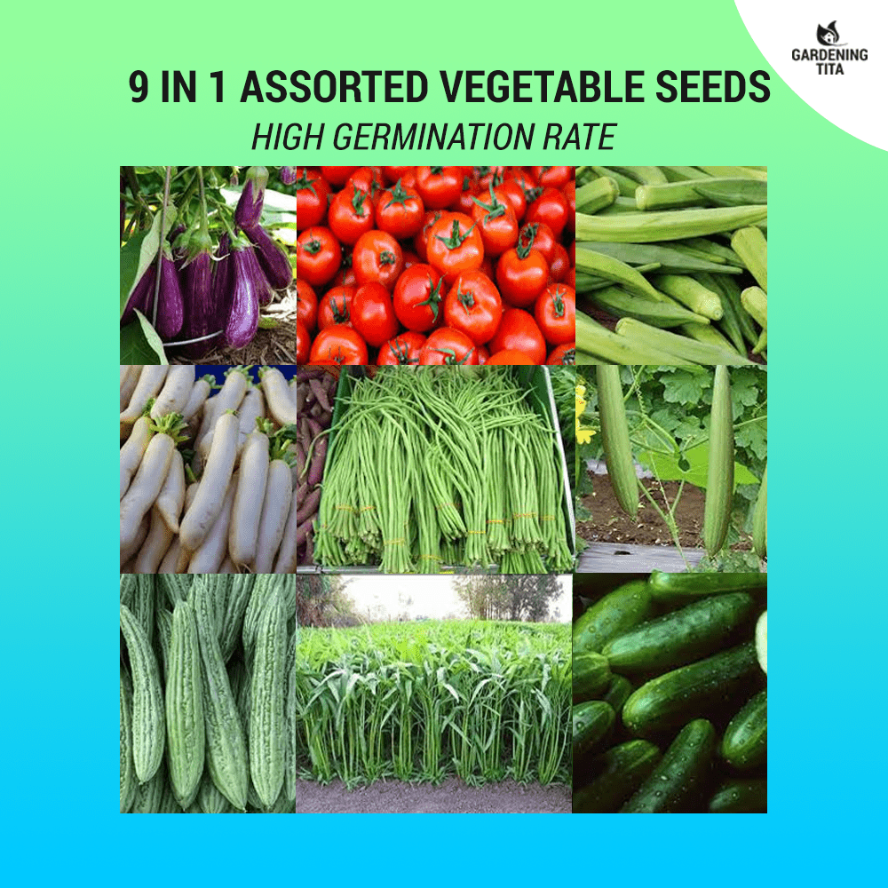 9 1 Assorted Vegetables Seeds Sulit - Gardening Tita