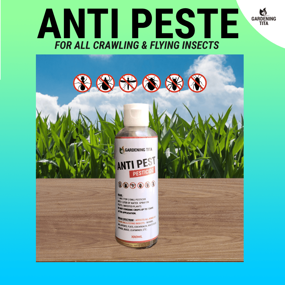 100 Anti Pest Home & Garden - Gardening Tita