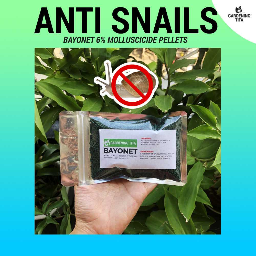 Bayonet 6 Molluscicide Anti slugs anti - Gardening Tita