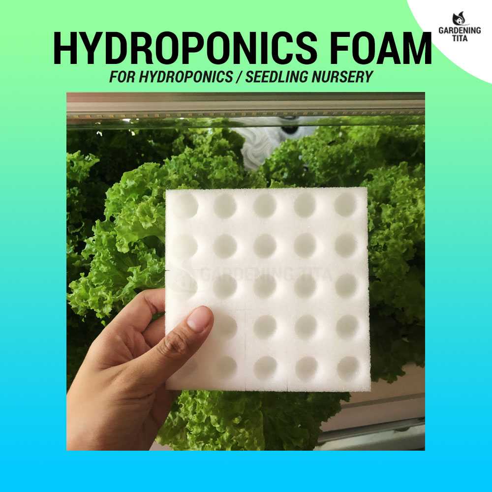 Hydroponic Seedling Sponge Horticultural Foam Made | – Gardening Tita